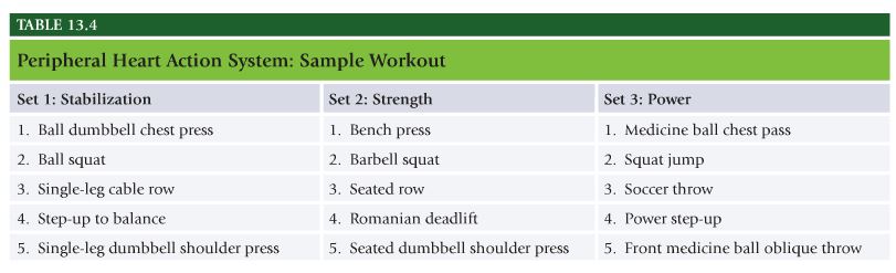 nasm-chapter-13-resistance-training-concepts-the-healthy-gamer